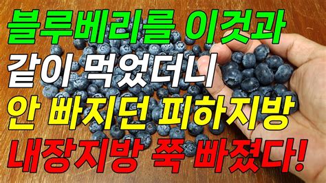 블루베리를 이것과 같이 먹었더니 안 빠지던 피하지방 뱃살 내장지방이 쭉 빠졌다뱃살 내장지방 빼기에 좋은 블루베리 효능 높이는 법 Youtube