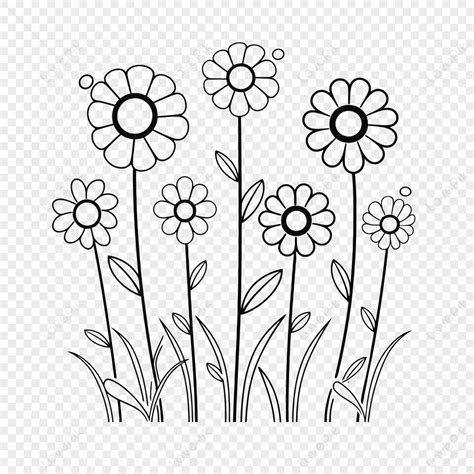 최고의 꽃 색칠 공부 페이지 개요 스케치 드로잉 벡터삽화초본 식물 Png 일러스트 무료 다운로드 Lovepik