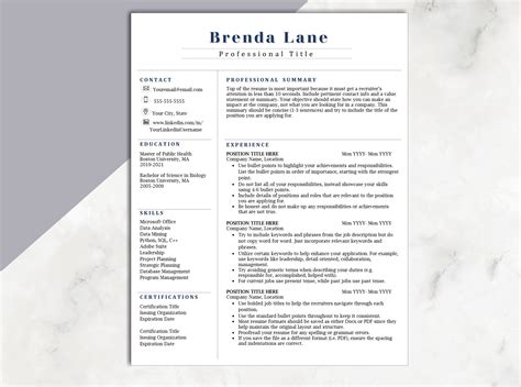 Resume Template For MS Word Simple Resume Template Professional