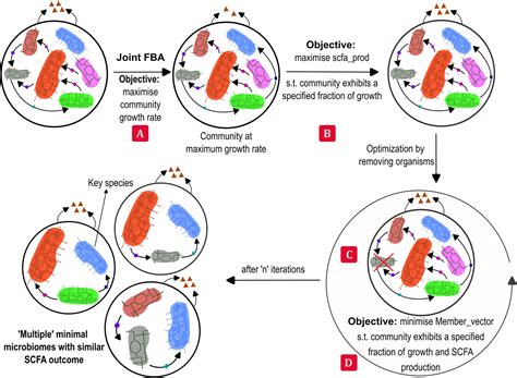 Finding The Microbial Heroes Identifying The Smallest Groups Of