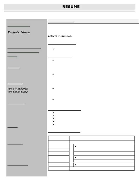 Cv Akhilesh Mishra Pdf