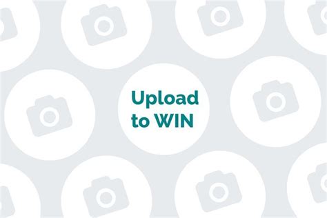 Hearty Beef And Vegetable Casserole Australias Best Recipes