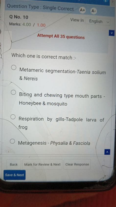 Question Type Single Correct Q No View In Marks Englis