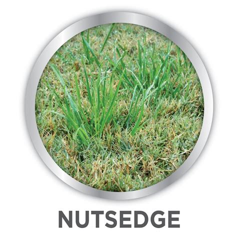 Image Nutsedge And Tough Weed Killer 24 Oz Concentrated Lawn Weed