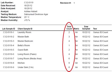 Instructions Help Immunolytics