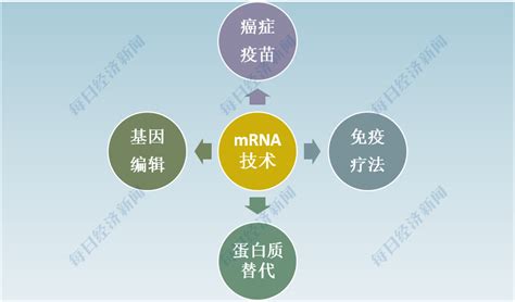市场规模到2028年有望破千亿美元！mrna技术未来如何重塑疾病治疗格局？ 每经网