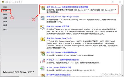 sql server的安装过程 针对外部数据的polybase查询服务要选吗 csdn博客