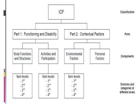 International Classification Of Functioning Disability And Health Pptx