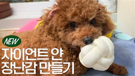 자이언트 얀 자투리 활용법 L 강아지 최애 장난감 만들기 Youtube