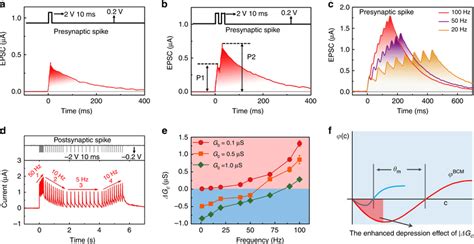 Emulation Of The Rate Based Synaptic Adaptation Function Using