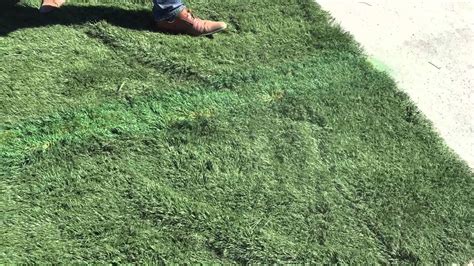 Spray Paint For Fake Grass At Ellen Unger Blog