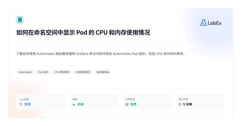 如何在命名空间中显示 pod 的 cpu 和内存使用情况 labex