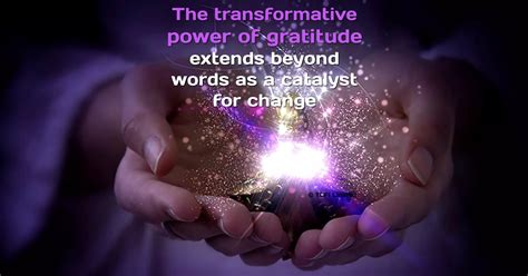 The Life Force Institute The Transformative Power Of Gratitude