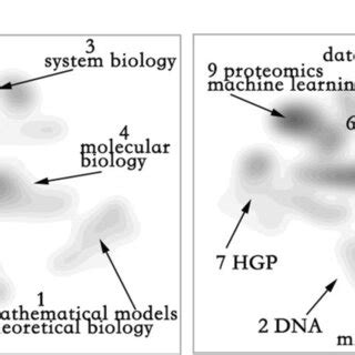 Knowledge Structure Of Bioinformatics Color Opacity Is Proportional To Download Scientific