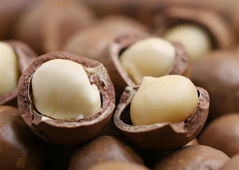 Kenyan Entrepreneurs Exporting The Worlds Most Expensive Macadamia
