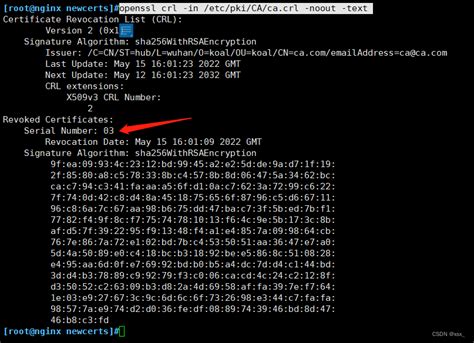 nginx配置反向代理验证ssl证书 双向认证 nginx 配置ca双向 csdn博客