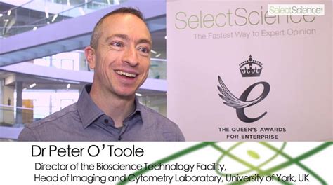 Using Correlative Microscopy To Understand Genomics Proteomics And