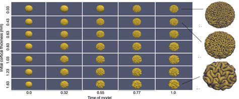 The Comparison Of Folding Patterns On Reference Ellipsoid For Different Download Scientific