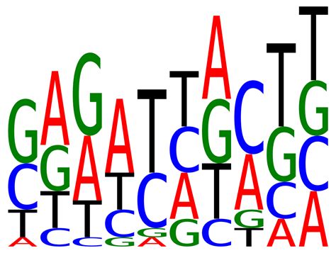 Seqlogo — Marsilea 057 Documentation