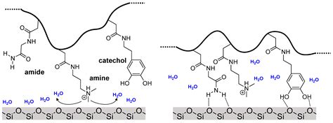 Facile Synthesis Of Catechol Containing Polyacrylamide Copolymers