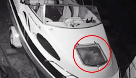 Owner Horrified To Find Randy Couple Having Sex Inside His Beloved Boat After Spotting Them On