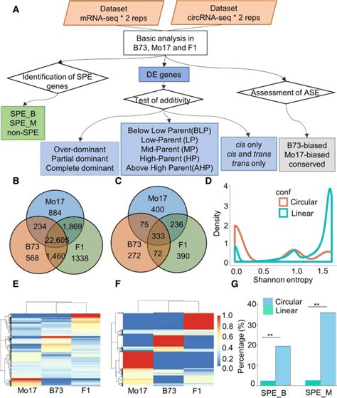 Of The Experimental Design And Data Collection A Flowchart Summarizing