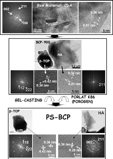 Figure 1 From In Vitro Structural Changes In Porous HA Beta TCP Scaffolds In Simulated Body