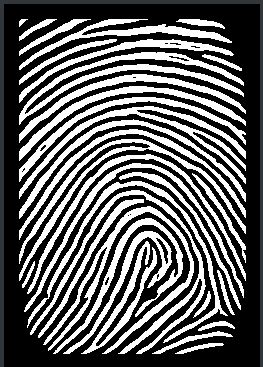 Github Sankethire Fingerprint Verification System