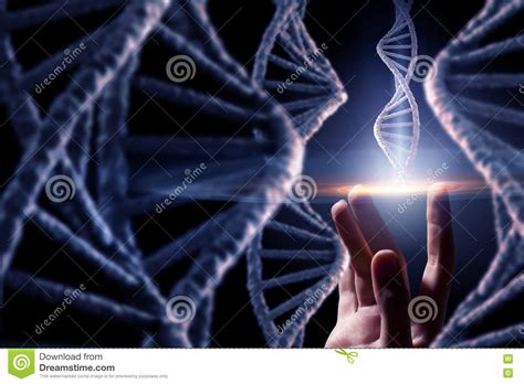 DNA Molecule Research Stock Image Image Of Adult Sign 70757887
