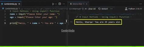 How To Use The Input And Output Functions In Python