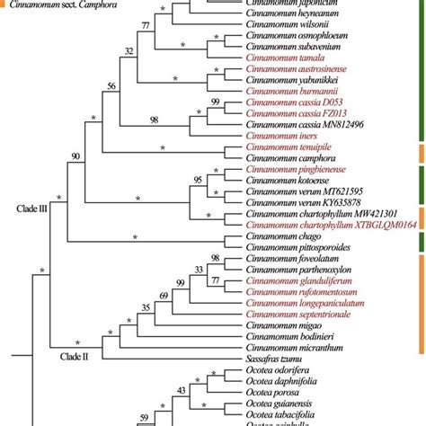 Phylogenetic Tree Inferred From Maximum Likelihood Analysis Based On