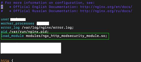 【应用安全】如何用nginx实现modsecurity Waf
