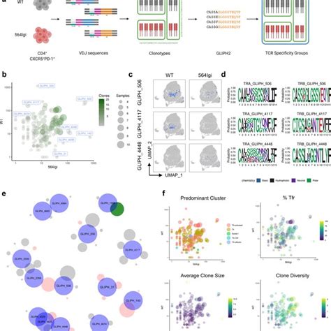 Gliph Prediction Of Tcr Specificity Shows Convergence Toward Shared Download Scientific Diagram