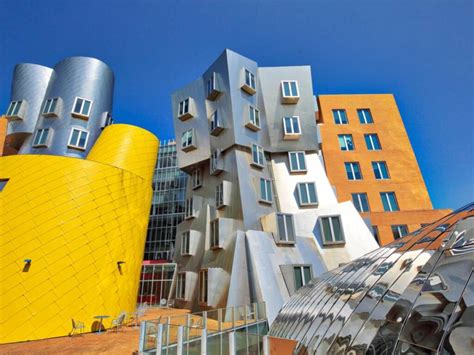 Mit Or Stanford Which One Will Catapult Your Career College Reality