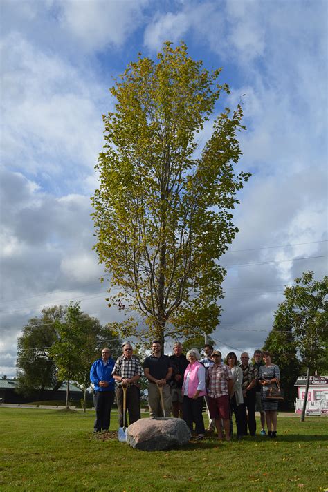 Tree Dedication Ceremony Kicks Off 150 Treebates Program City Of Orillia