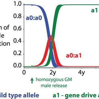Example Of How Gene Drives Behave In The Vector Genetics Model The Download Scientific Diagram