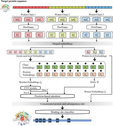 Pseq2sites Enhancing Protein Sequence Based Ligand Binding Site Prediction Accuracy Via The