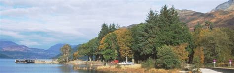 Trees Archive Forest Research