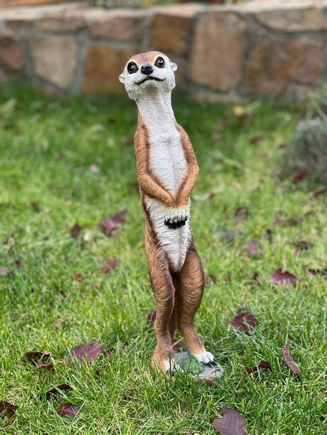 Садова фігура із полістоуна ДомФігурок Сурикат купить онлайн на Rozetka