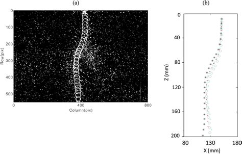 Trajectories Of The Free Falling Sphere A Long Exposure Image Of The