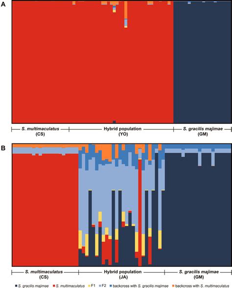 Hybridization Pattern Newhybrid Analyses In Population Yo A And Ja