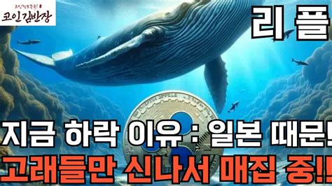 리플 Xrp 지금 하락 이유 일본 때문 고래들만 신나서 매집 중 Youtube