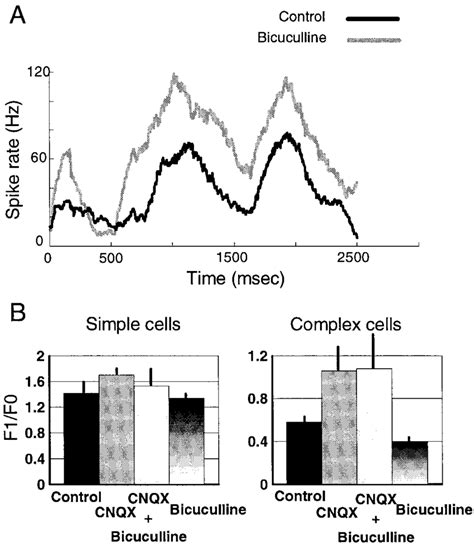 Blockade Of Inhibition Does Not Affect The Temporal Modulation Of