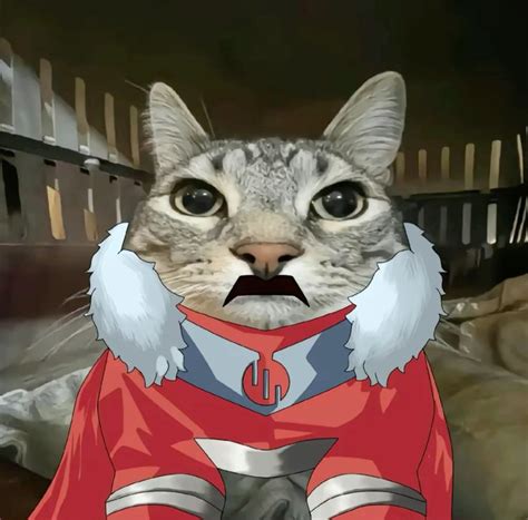 Thragg Cat Thragg Meme Thragg Background