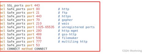 Linux配置squid服务代理实现解析dnc（国赛linux服务器）squid Dns Csdn博客