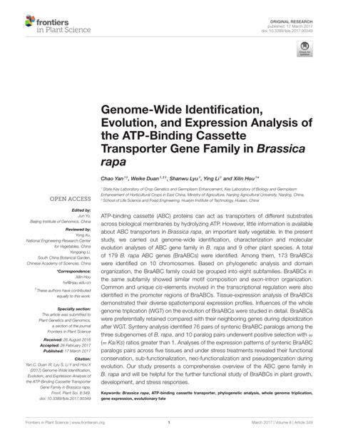 Pdf Genome Wide Identification Evolution And Expression Analysis Of