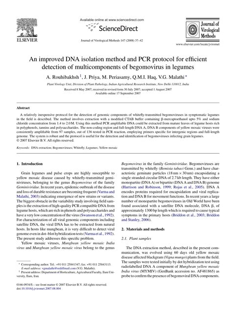 Pdf An Improved Dna Isolation Method And Pcr Protocol For Efficient Detection Of