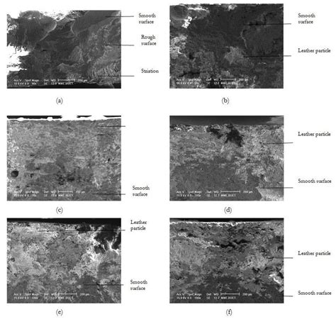 Fracture Surface Morphology Of Composite A Only For Polyester B