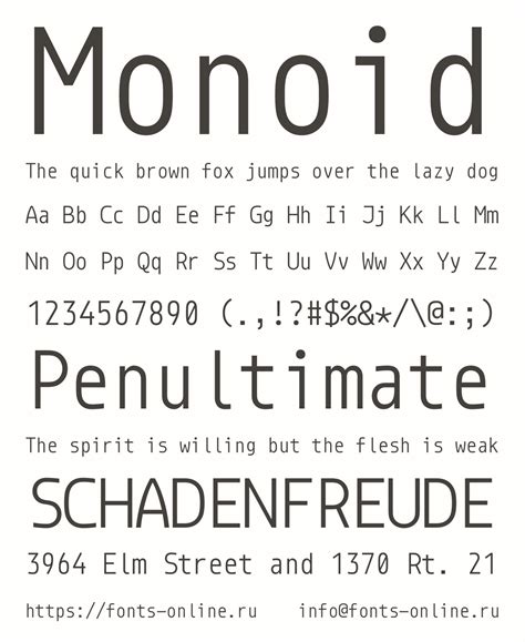 Monoid Font