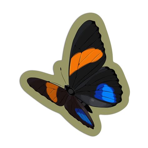 Callicore Butterfly Sticker The Stkr Store